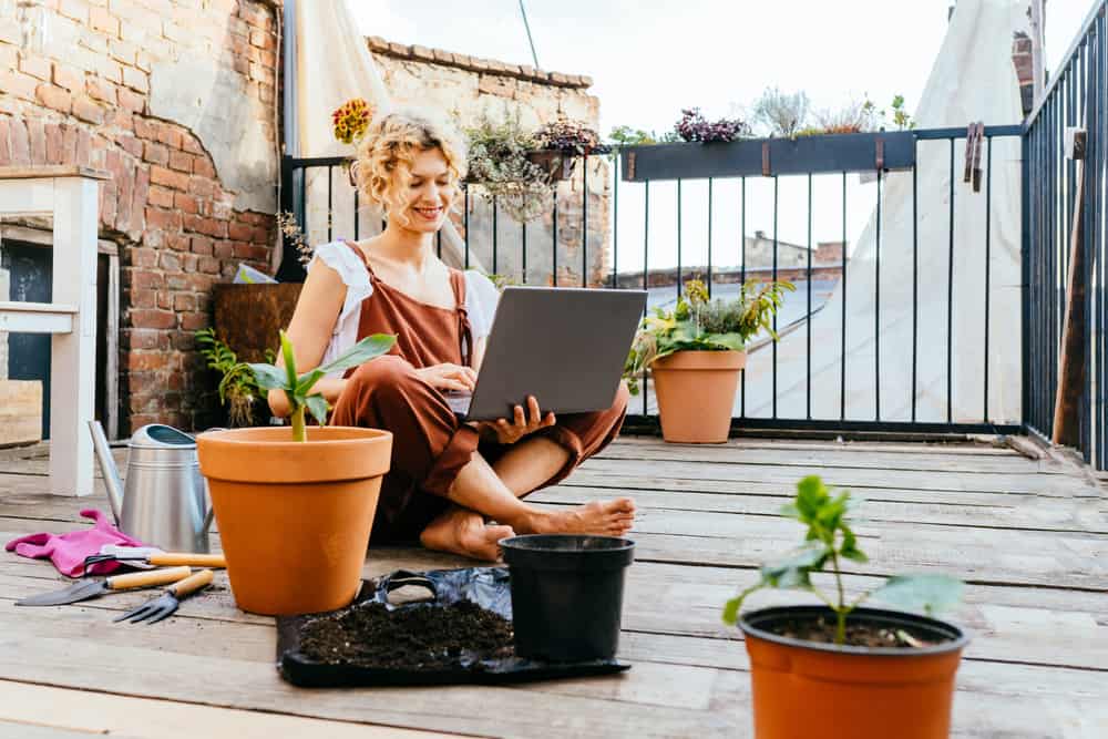 How to Become an Apartment Homesteader • Eupterra